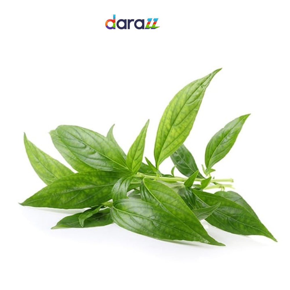 Andrographis Supplement | Immune Support & Wellness Boost – tagged ...