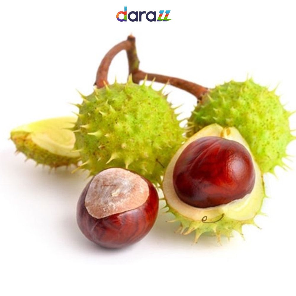 Horse Chestnut | Vein Health Support & Circulation Booster (Pakistan ...