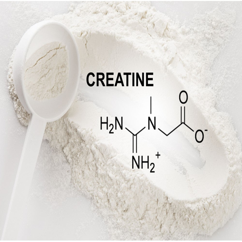 Creatine Monohydrate | Strength, Muscle Growth & Performance (Pakistan ...